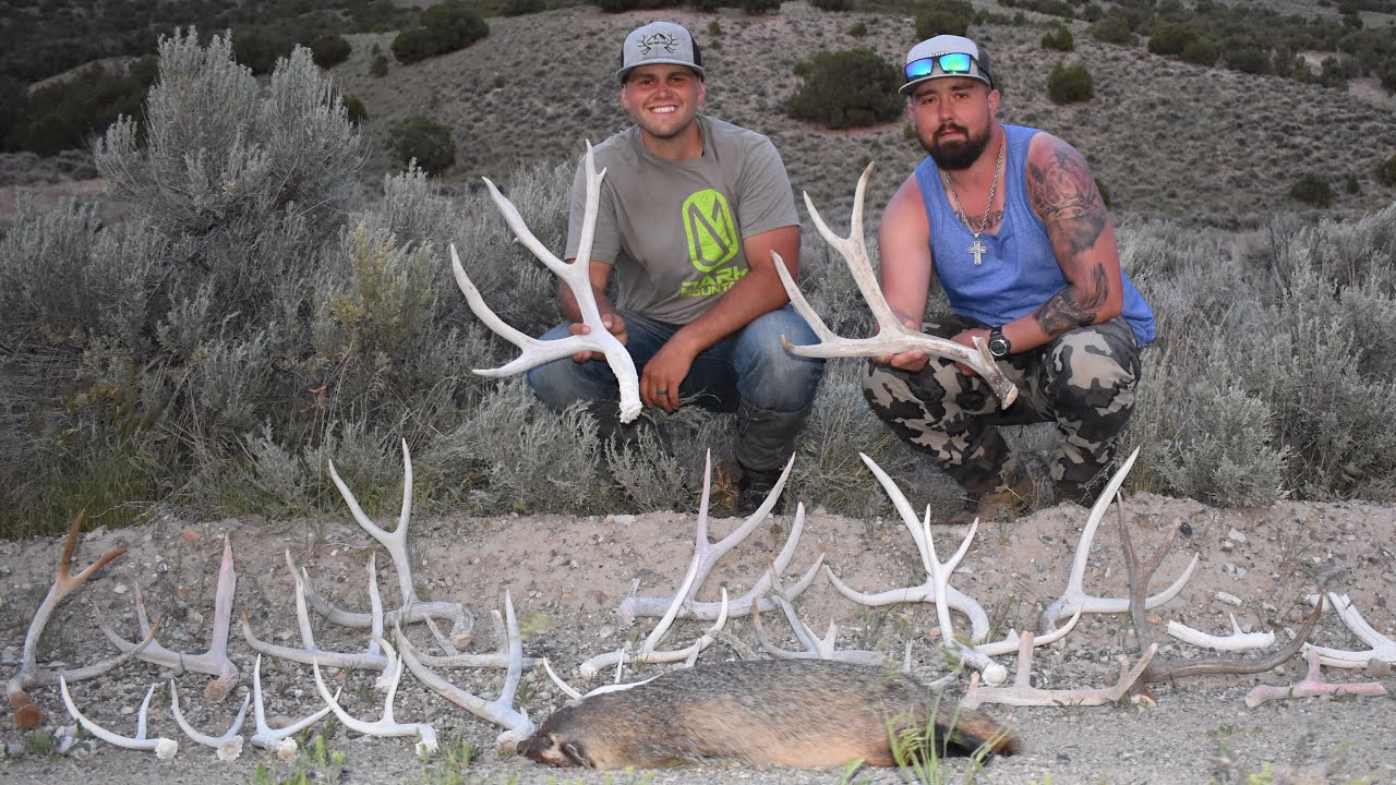 BIG MULEY SHEDS! NEVADA 2018 - YouTube