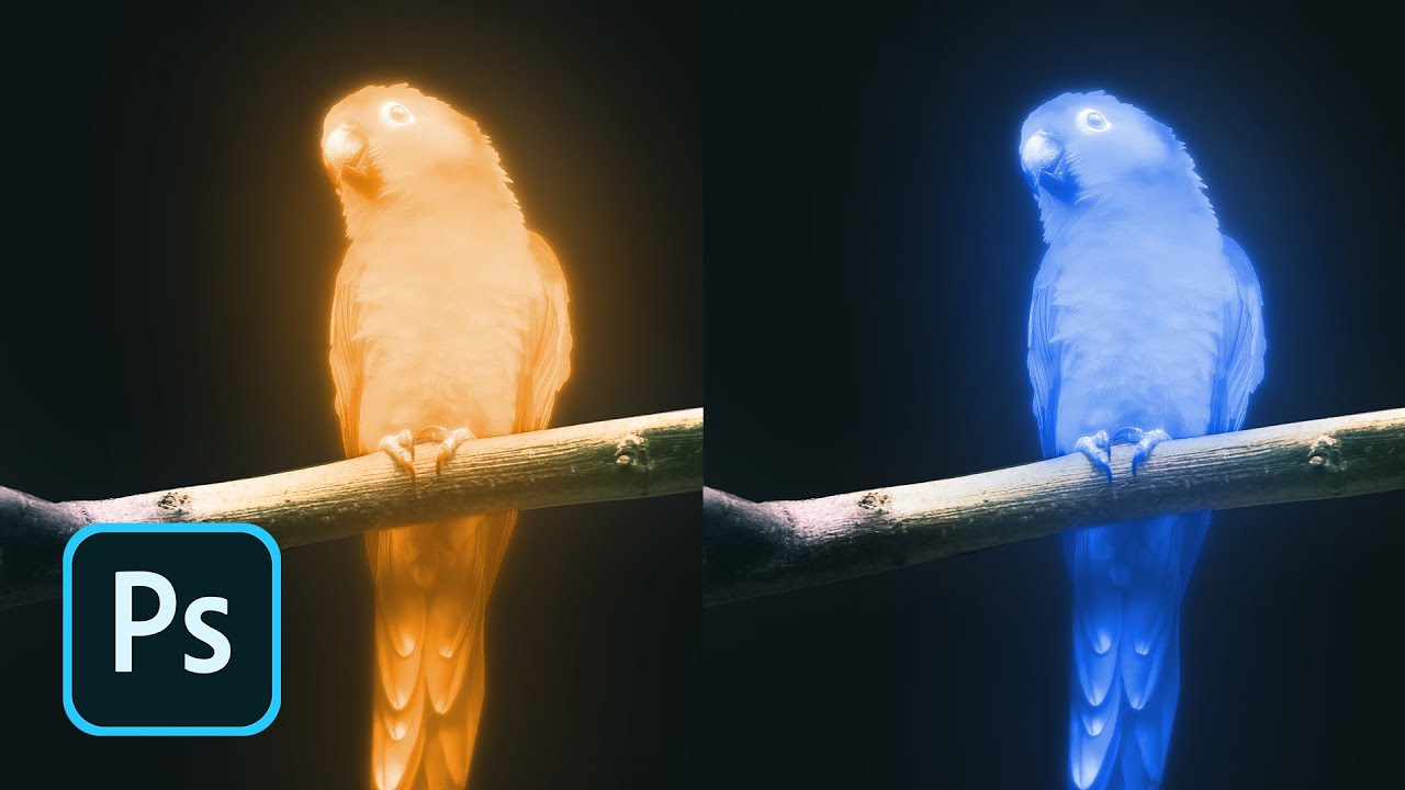 Glow Parrot - Photoshop Manipulation Tutorial - YouTube