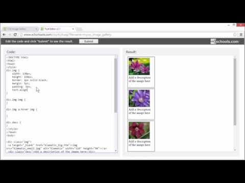 W3Schools CSS Image Gallery Tutorial 360p - YouTube