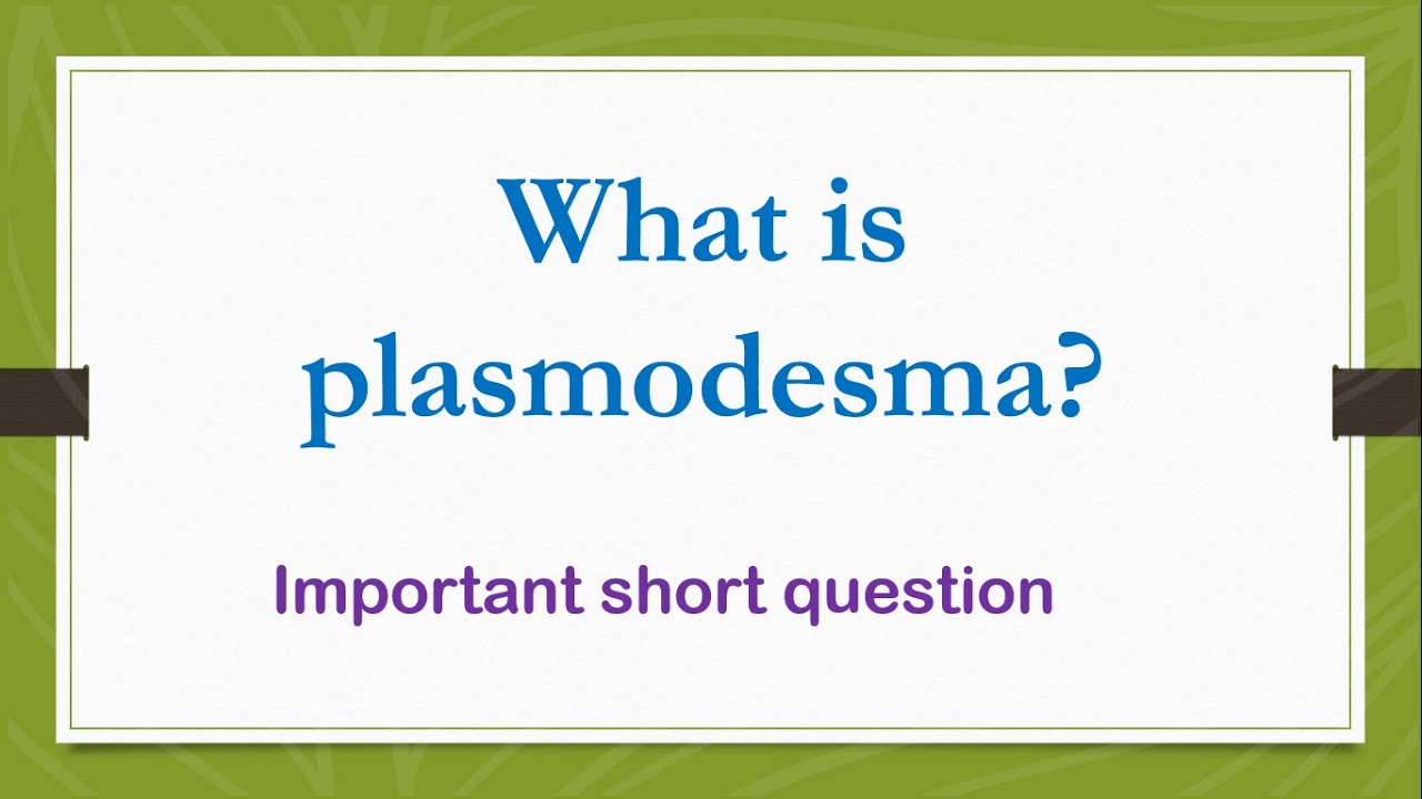 What is plasmodesmata? Biology ch#4 - YouTube