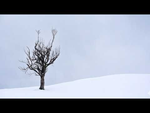 Cesur Demir - Sensiz Yaşamak