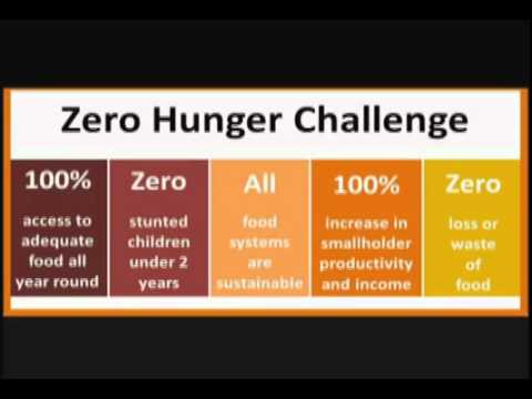Zero Hunger Challenge - UN Secretary-General message - YouTube