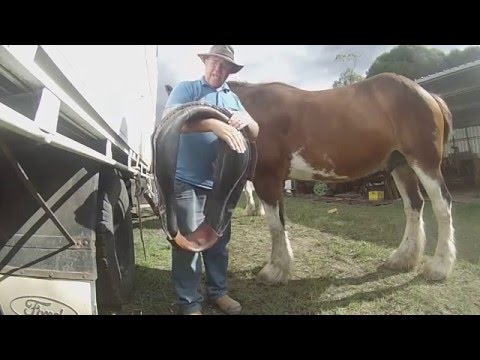 fitting a adjustable collar