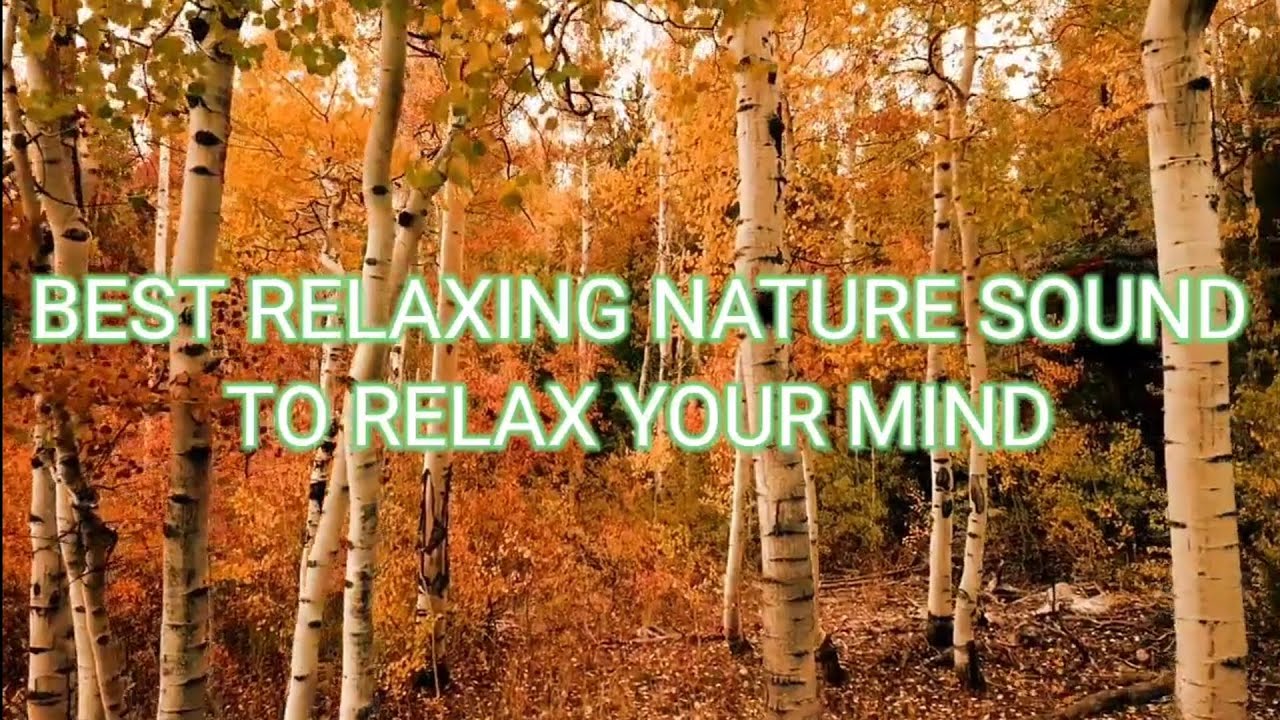 best relaxing nature sound to relax your mind, stress reliver - YouTube