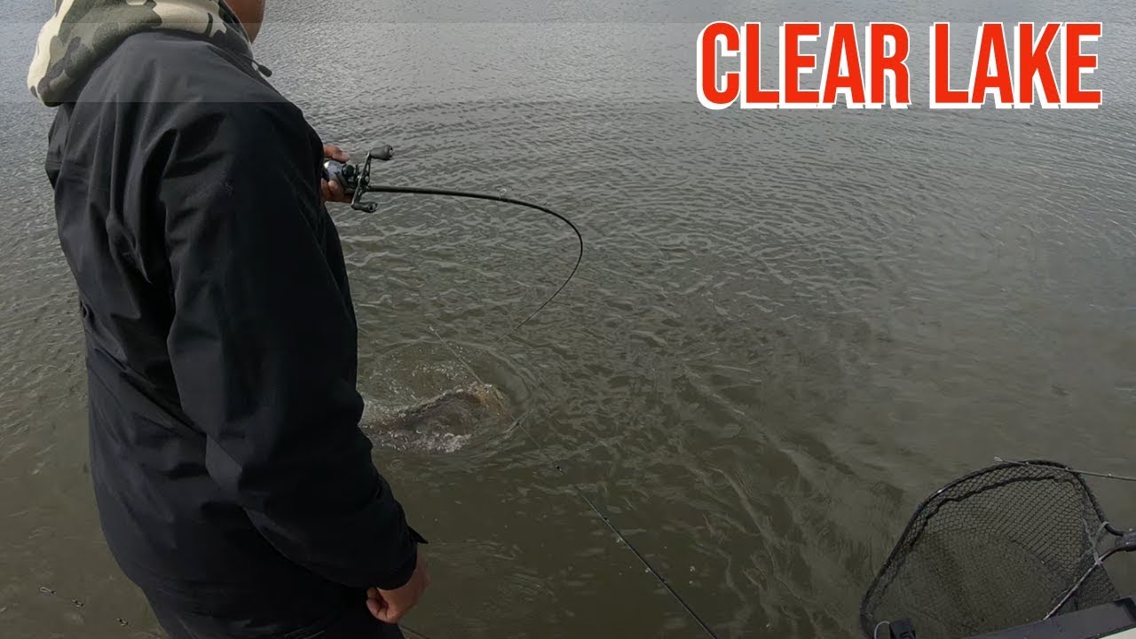 Clear Lake Epic Fishing Day for Multi Species - YouTube