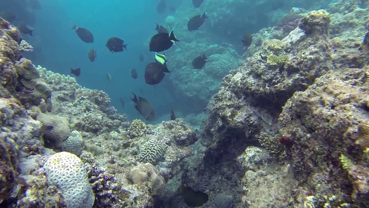Okinawa Island Sunabe Seawall HD - YouTube