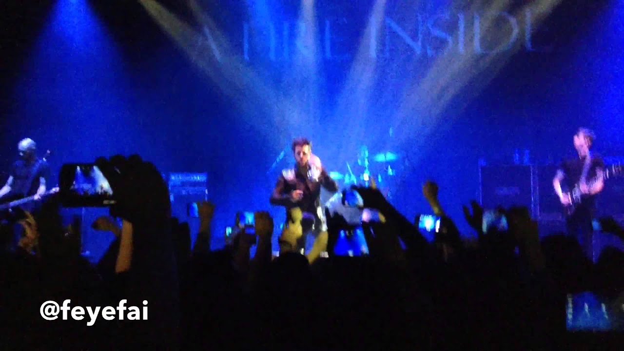AFI Medicate Live Mexico City Plaza Condesa - YouTube