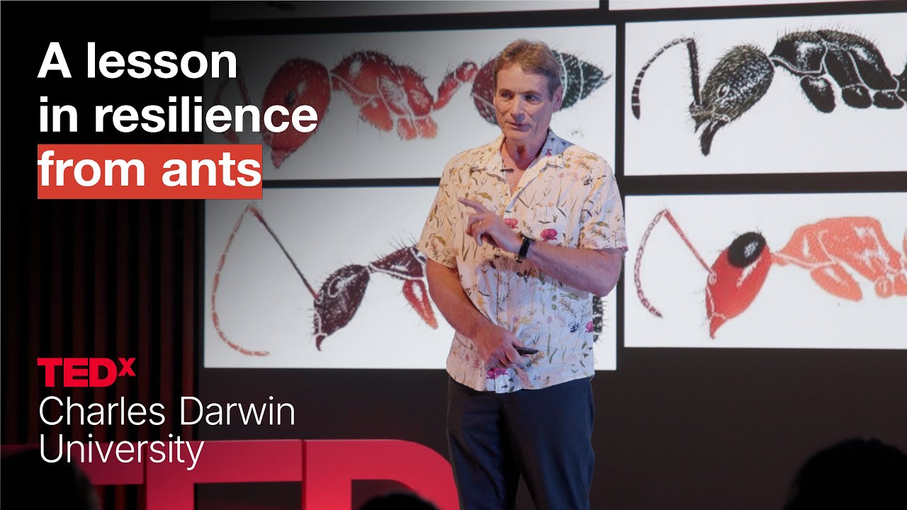 A lesson in resilience from ants | Alan Andersen | TEDxCharles Darwin ...