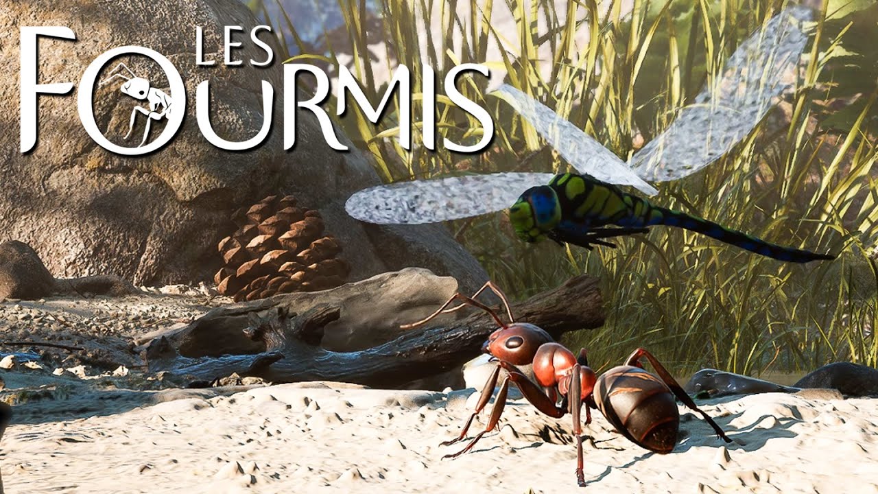 Je découvre le SUPERBE jeu français " Les Fourmis " basé sur la saga de ...
