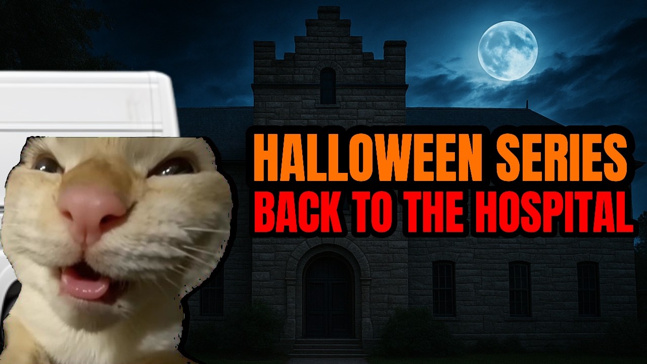CAT MEMES: BACK TO THE HOSPITAL | HALLOWEEN ROADTRIP SPECIALS - YouTube