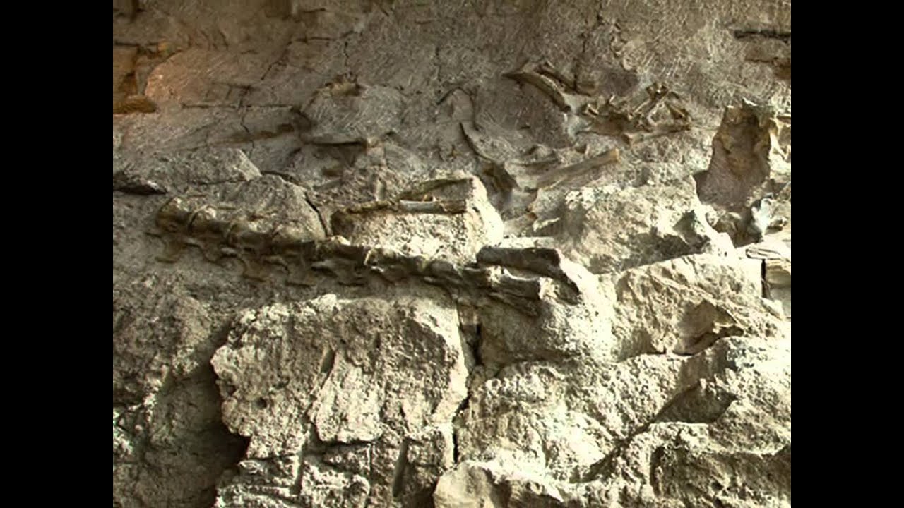 The Dinosaur Quarry at Dinosaur National Monument.mp4 - YouTube