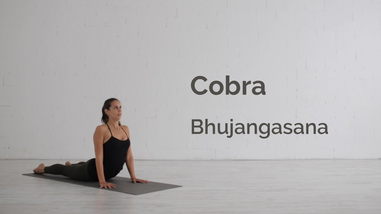 Cobra Pose (Bhujangasana) Tutorial - YouTube
