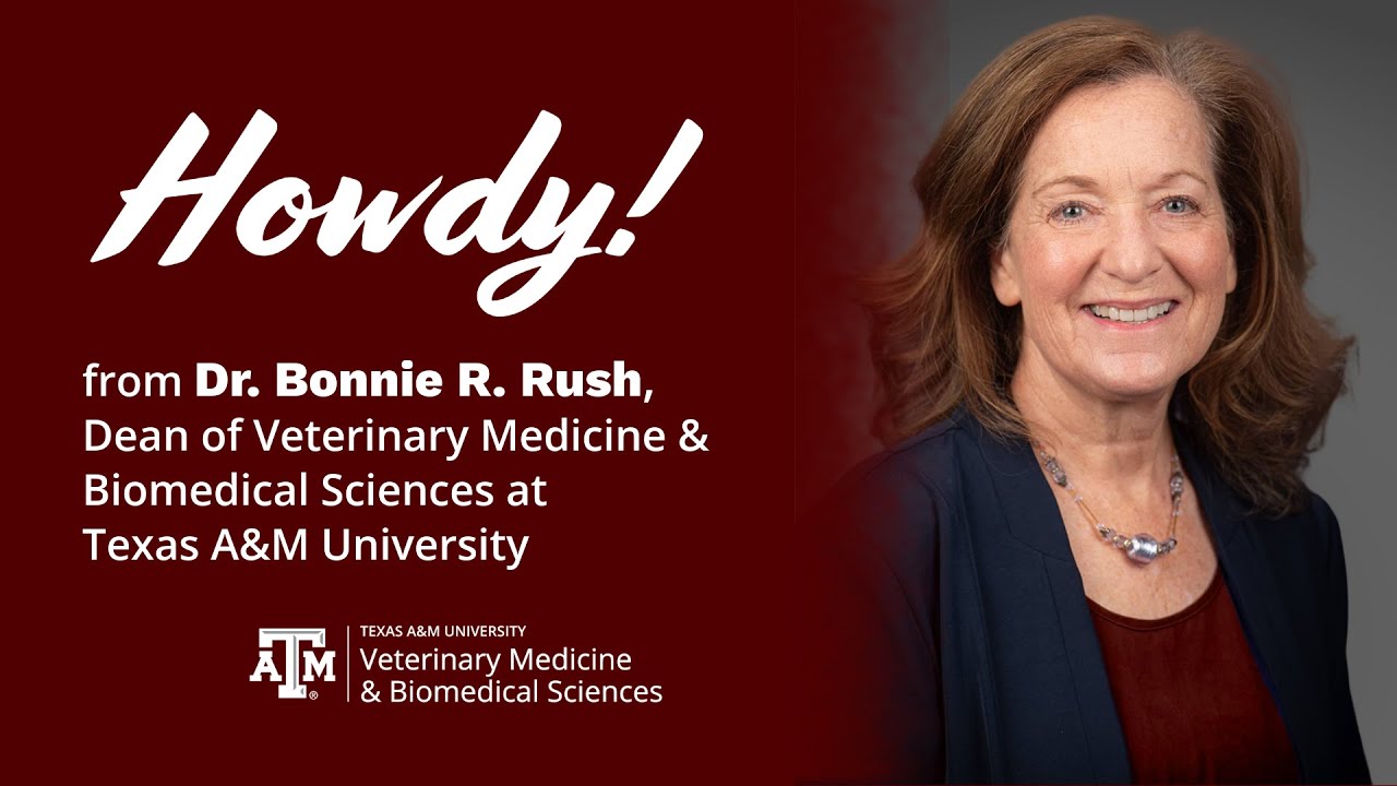 A New Chapter at the Texas A&M VMBS: Welcome Dean Bonnie Rush - YouTube