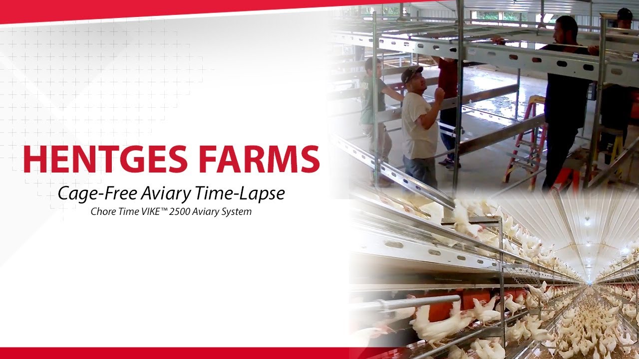 Chore-Time VIKE™ 2500 Aviary System - Hentges Farms Cage-Free Aviary ...