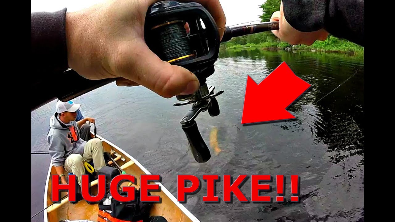 Inline Spinners for BIG Pike - YouTube