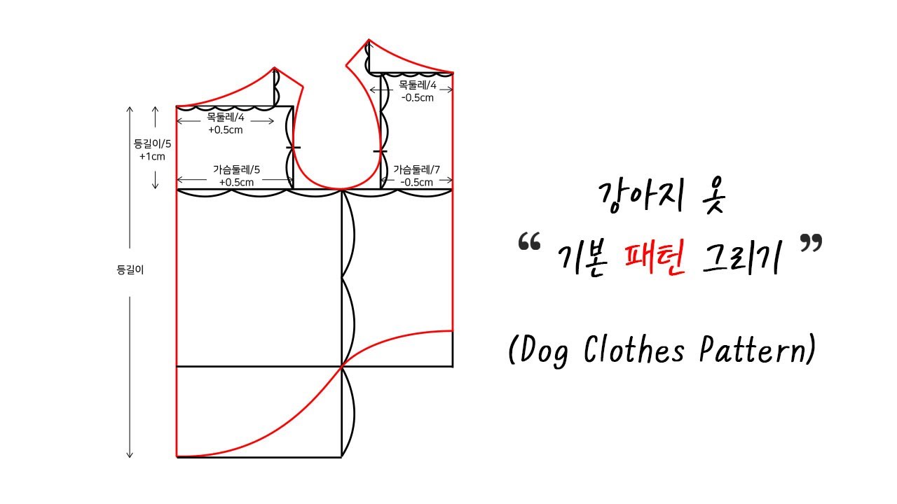 강아지 옷 만들기 기본 패턴 그리는 방법 Youtube
