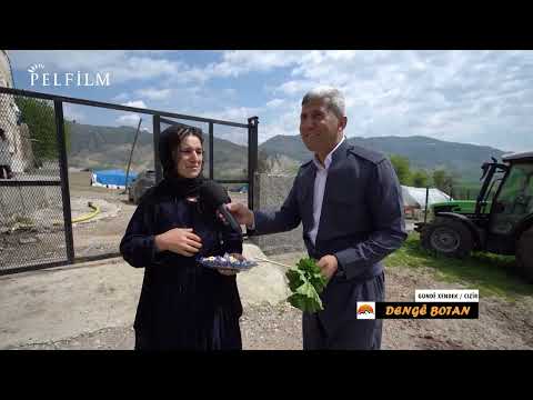 DENGÊ BOTAN - GUNDÊ XENDEK / CIZÎR