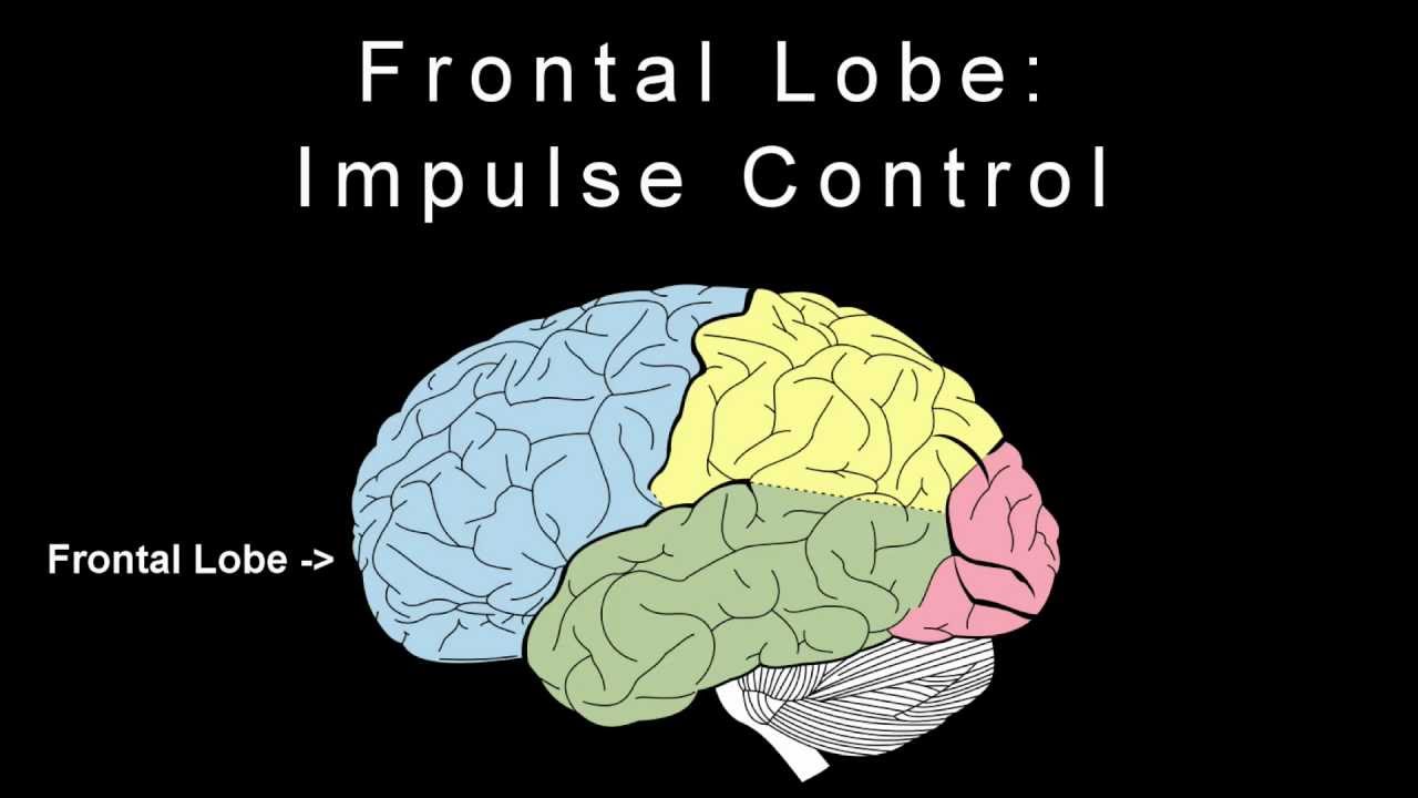 Kleptomania - YouTube