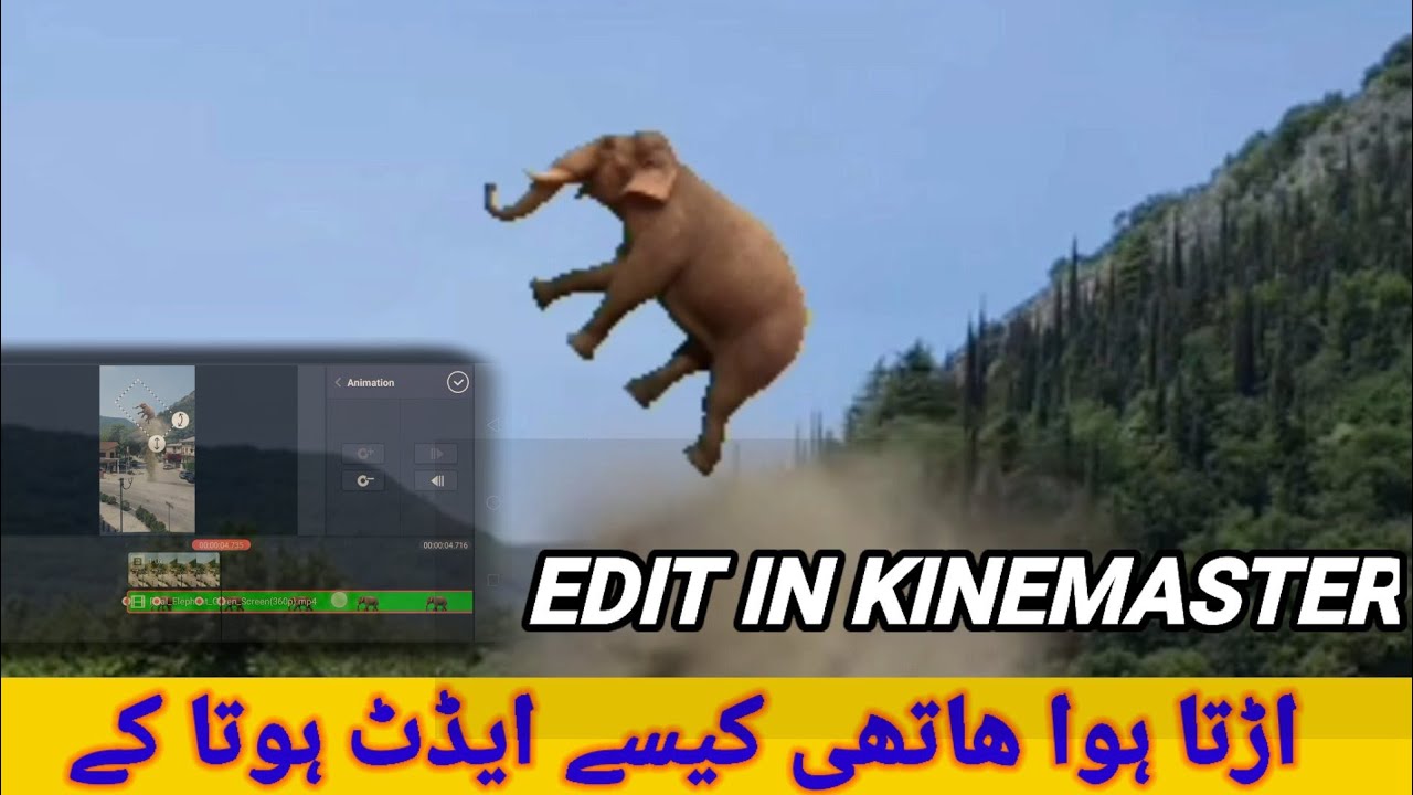 KineMaster video editing// Filying Elephant - YouTube