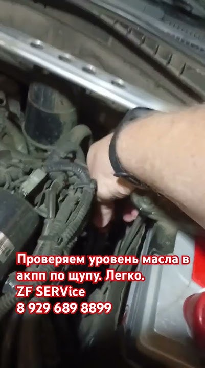 Проверяем уровень масла в акпп с щупом. Легко. - YouTube