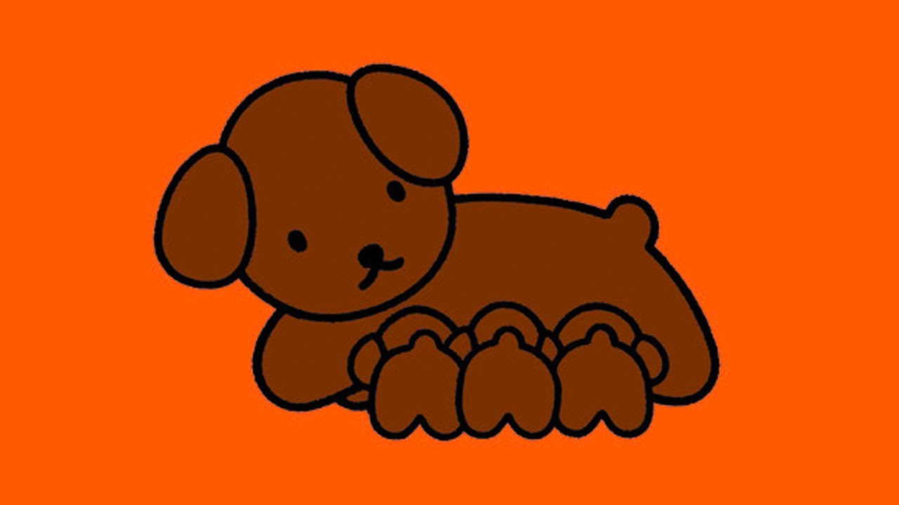 What do puppies like? | MIFFY CLASSIC | Colours, Numbers and Shapes ...