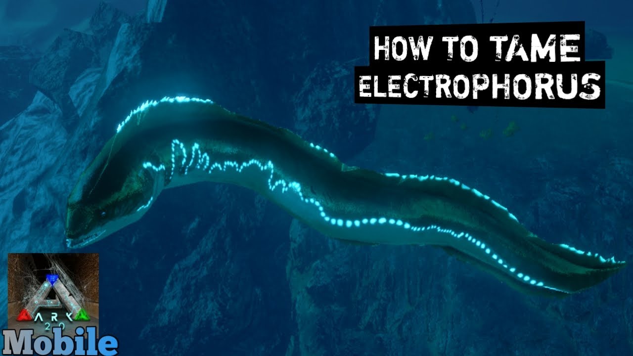How To Tame Electrophorus ,Ark Mobile[S1:E27]... - YouTube