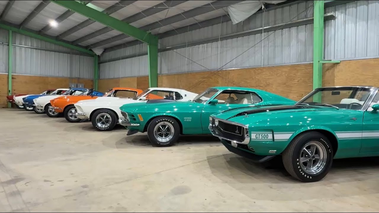 Inside The Pender Collection - A Rare MUST SEE Shelby and Boss ...