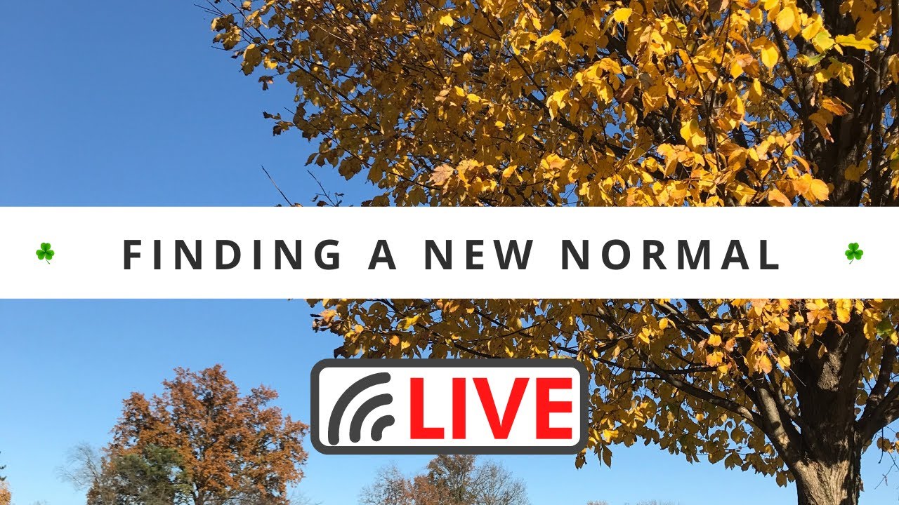 ☘️ Getting Back To Normal Life After A Big Change • Finding A New ...