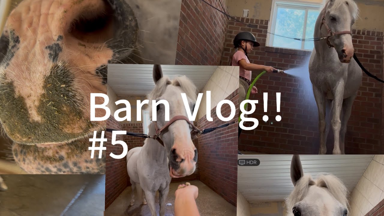 Barn Vlog #5!!!!!!! - YouTube