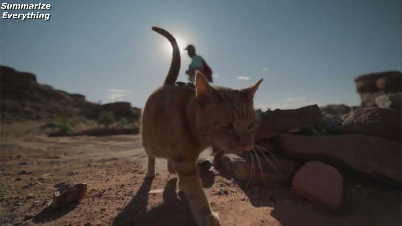 The Hidden Lives of Pets S1 Ep3 (Super Senses) Sum-up - YouTube