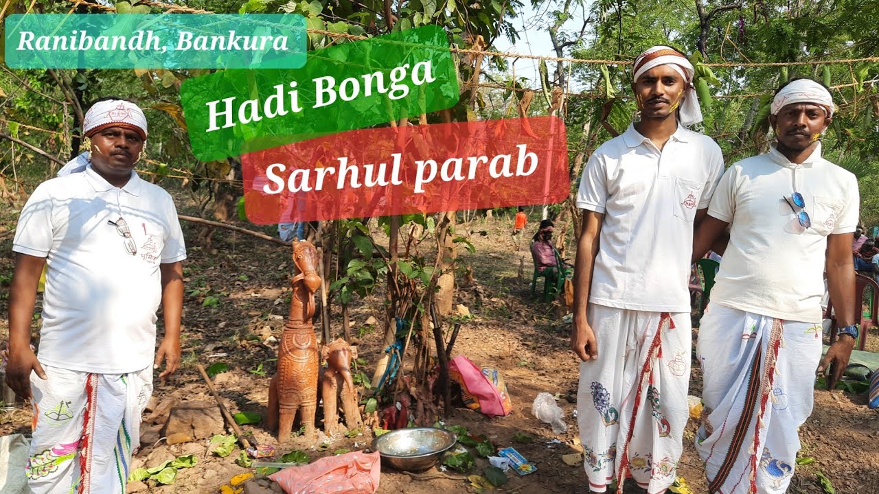 Hadi Bonga Seba || Sarhul parab 2024 || Ranibandh || Bankura || Bapi ...