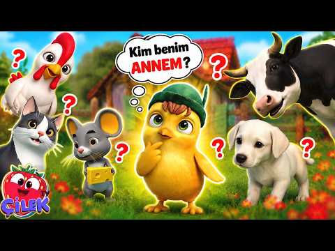 Anne Nerede ?🐥🐔|Civciv ve Annesi|Eğitici ve Eğlenceli Çocuk Şarkısı | Çilek TV#çizgifilm