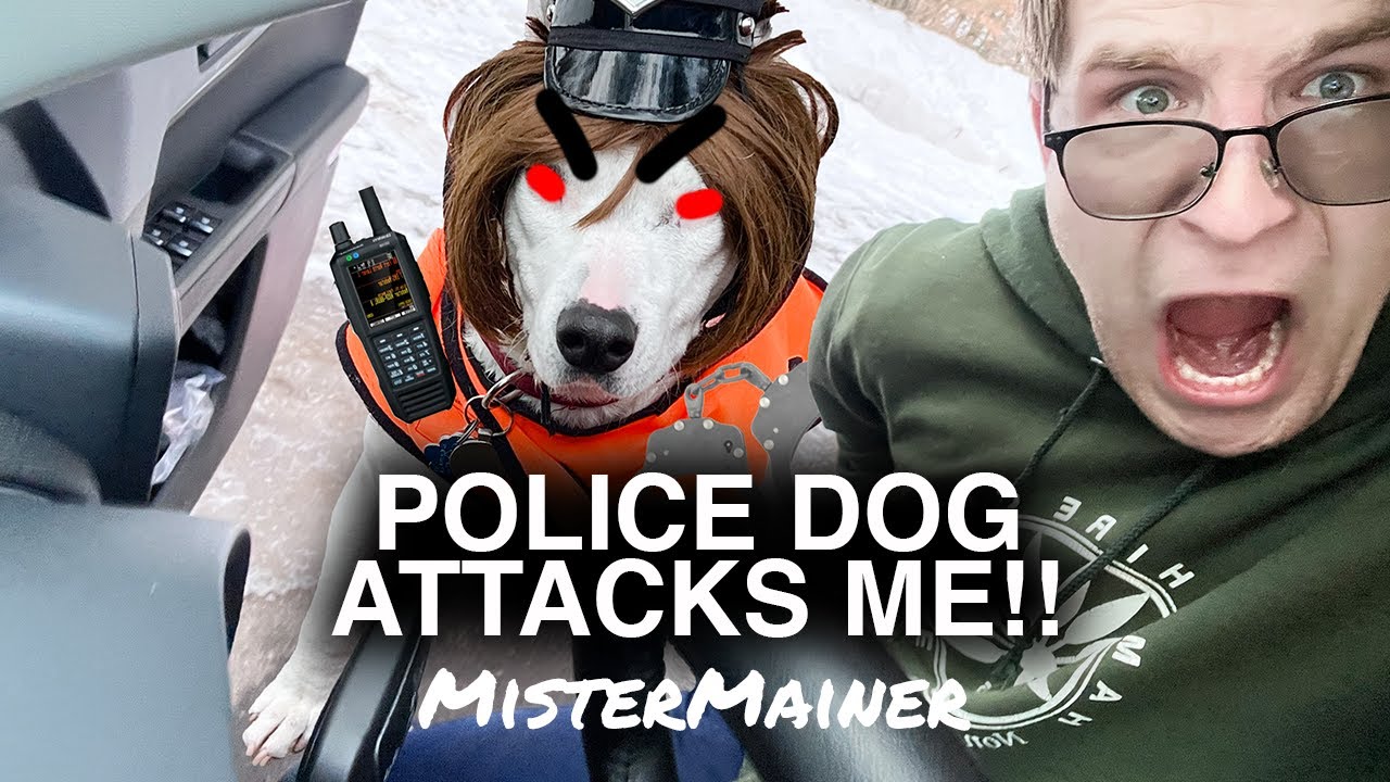POLICE DOG INJURED ME!! | MISTERMAINER - YouTube