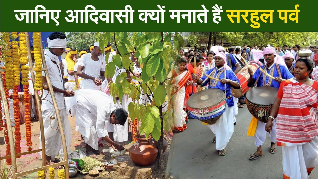 जानिए आदिवासी क्यों मनाते हैं सरहुल पर्व I Trible festival I Sarhul ...