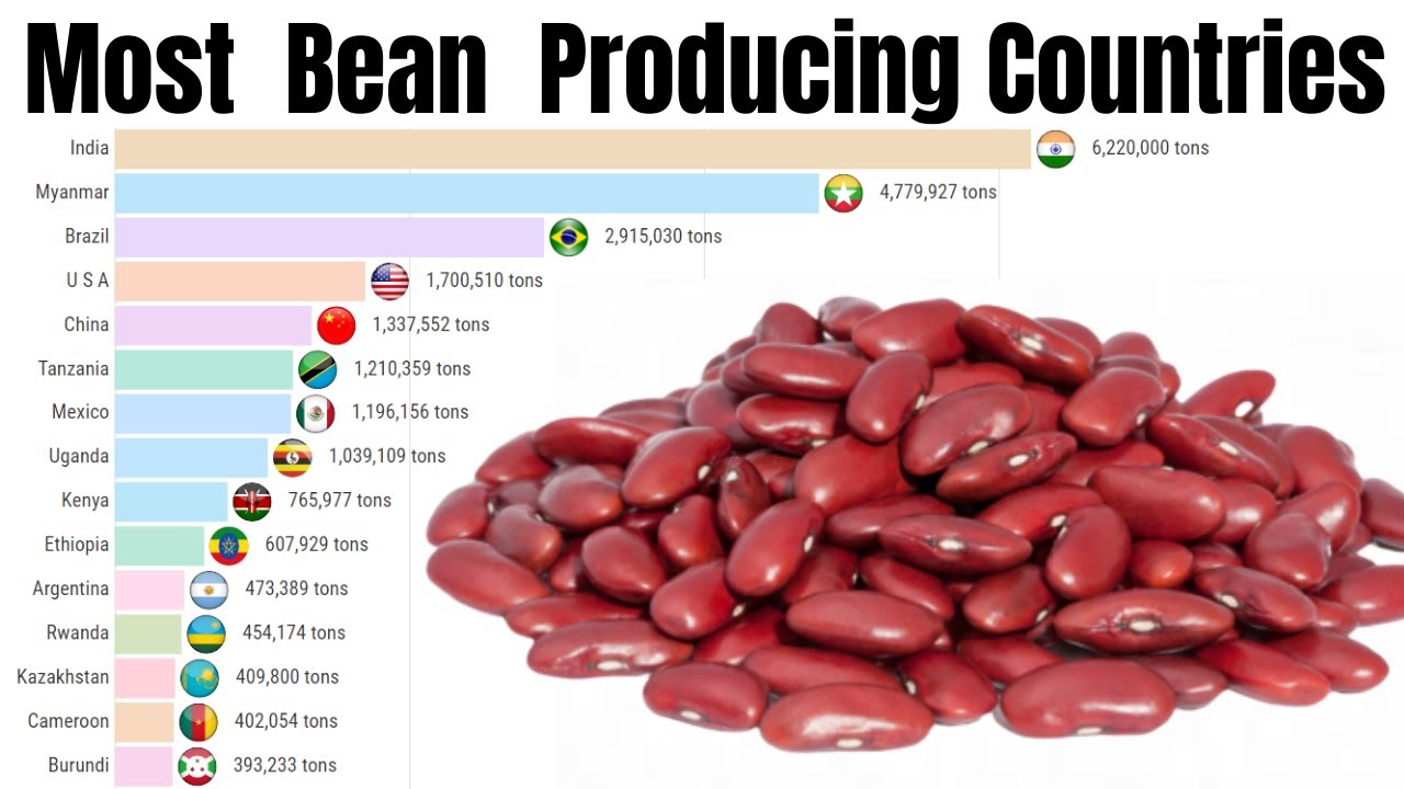Most Bean producing countries in the world || Largest Bean producers in ...