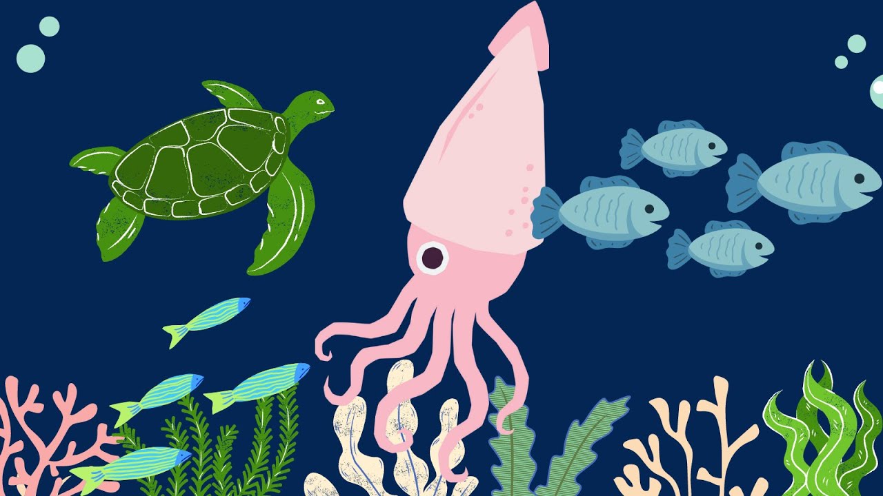 PRAWN FACTORY,TOUR PRAWN PROCESSING,PLANT PRAWN EXPORT,SEAFOOD ...