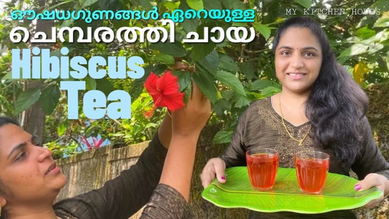 ASMR Village cooking Hibiscus tea | Herbal healthy drink | Chembarathi ...