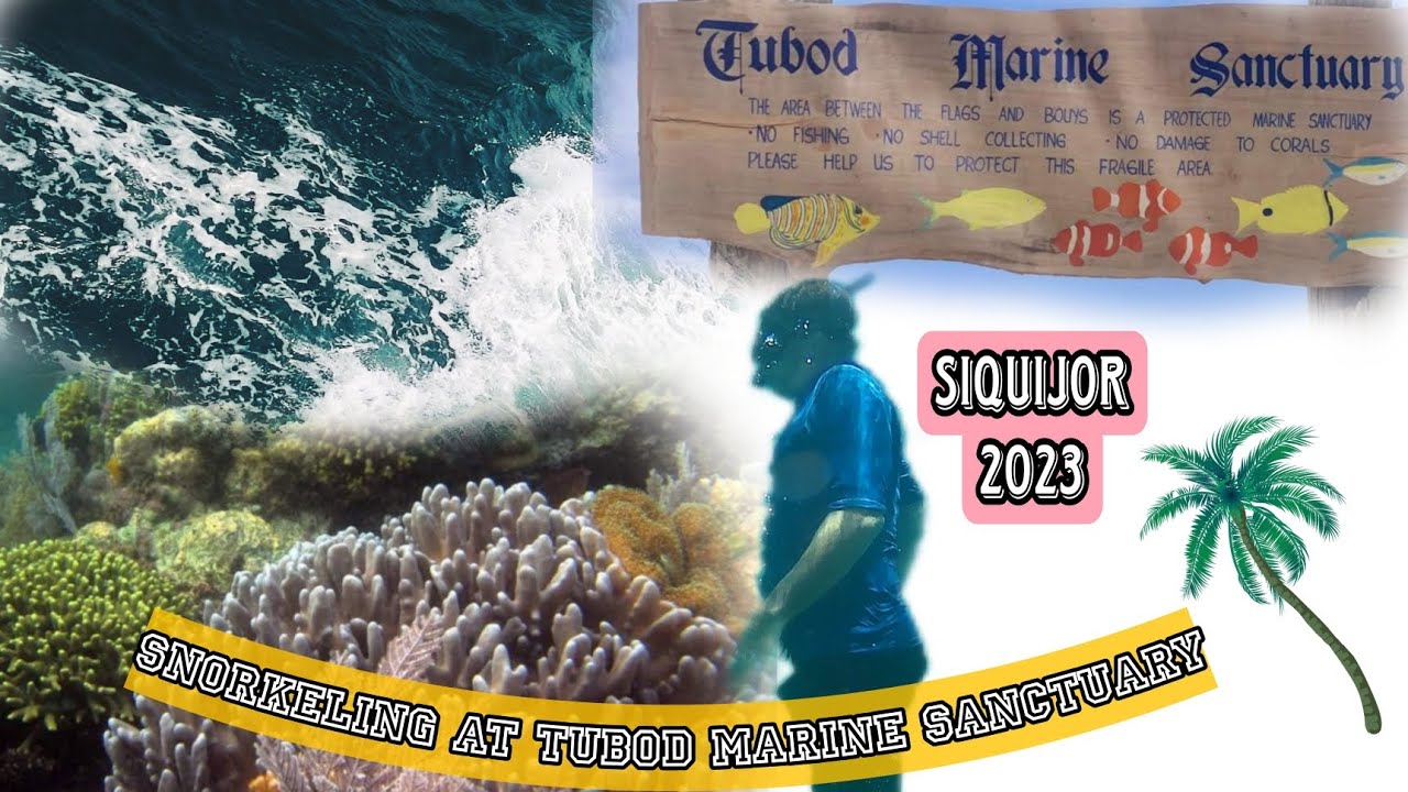MY FIRST TIME SNORKELING EXPERIENCE 2023 || THE BEAUTIFUL TUBOD MARINE ...