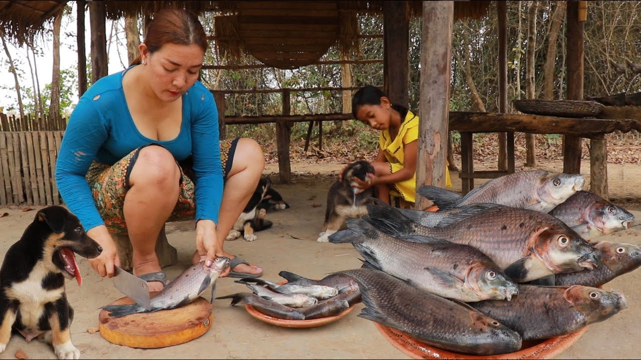 Mommy cooking black fish recipe- Steamed black fish with special taste ...
