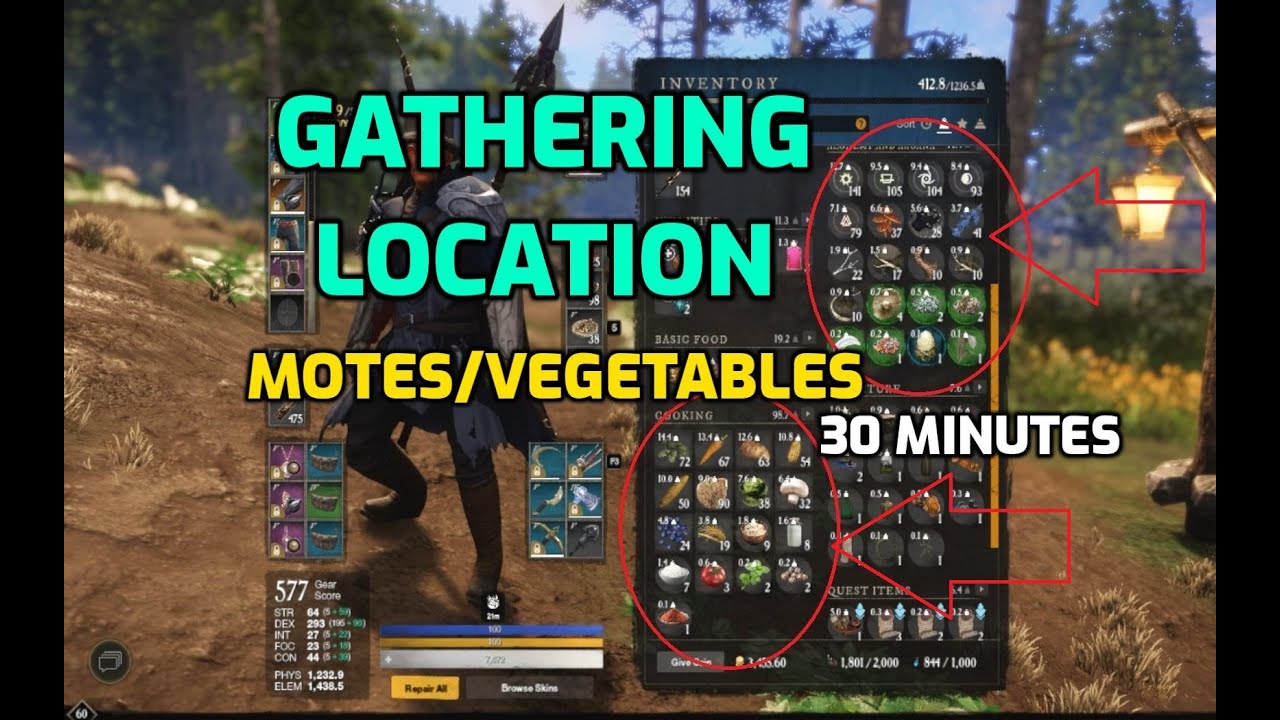 New World Mote Gathering Route Farm Where To Gather Motes In New World ...