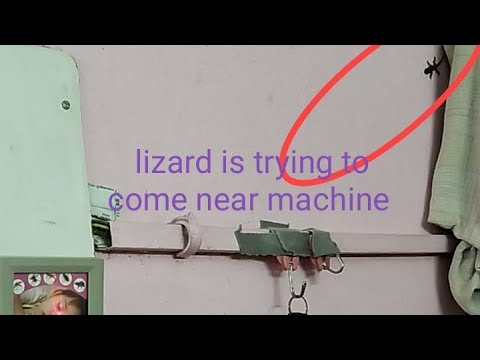 Pest repeller machine working opposite|🦎lizard trying to come near ...