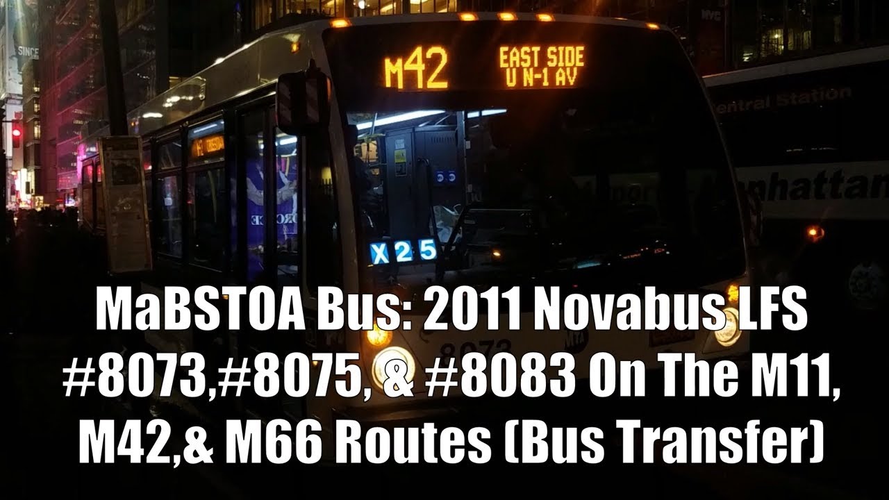 MaBSTOA Bus (60 FPS): 2011 Novabus LFS #8073, #8075, & #8083 On The M11 ...