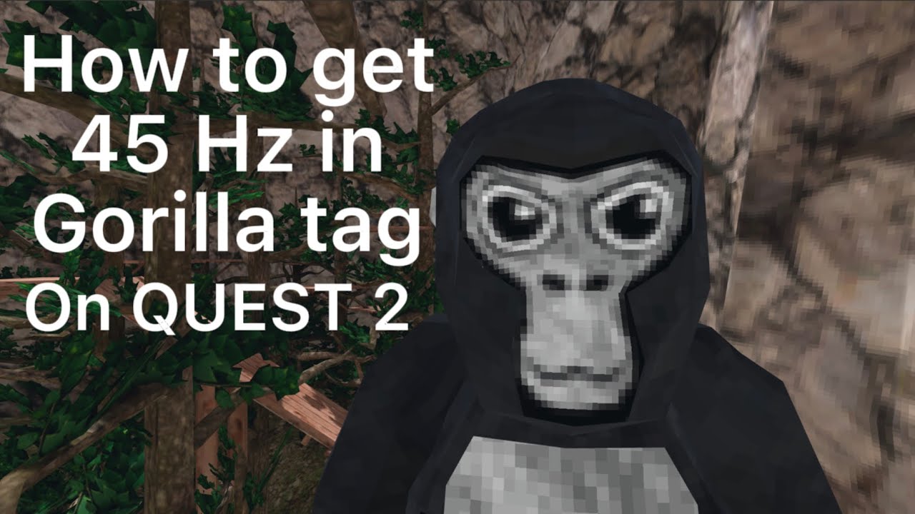 How To Get 45 Hz In Gorilla Tag Quest 2 YouTube how-to-get-45-hz-in-gorilla-tag-quest-2-youtube