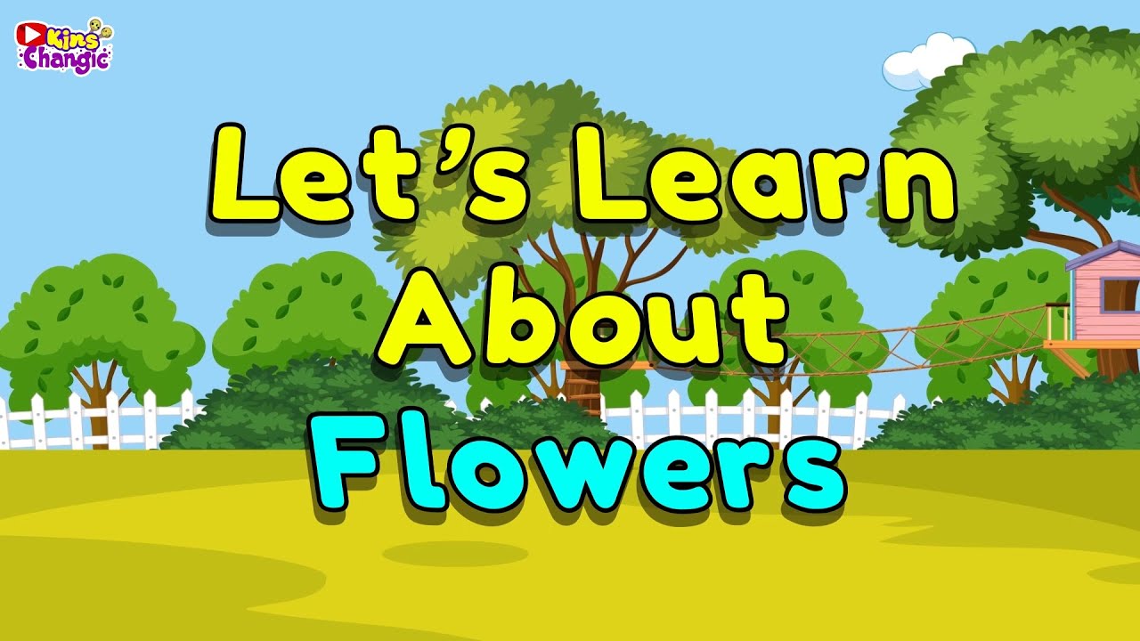 The best Guide to Toddler Educational Videos on YouTube, learn some ...