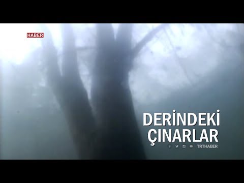 Vapur iskelesi, çay bahçesi, otel, arabalar, ulu çınarlar…