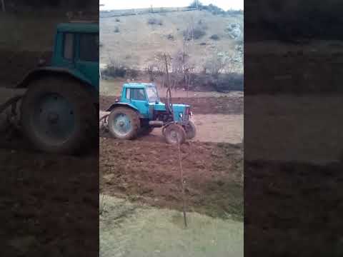 7 марта 2019 г.