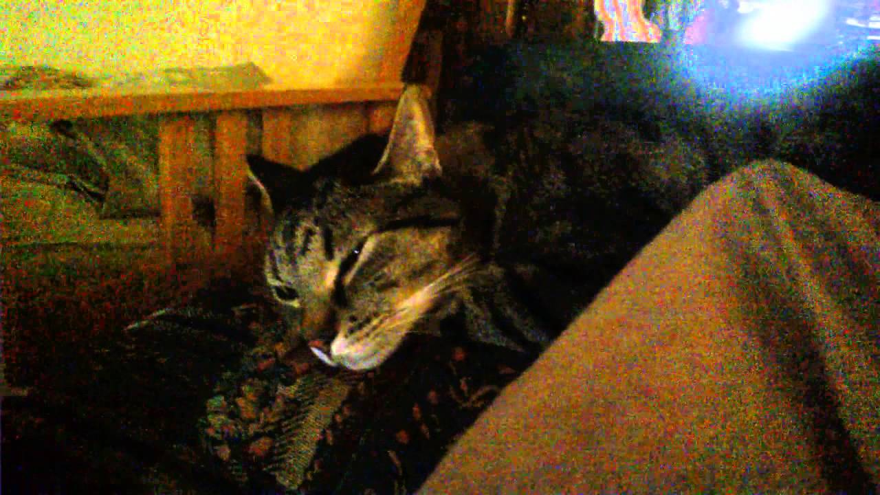 Sleepy Simon - YouTube