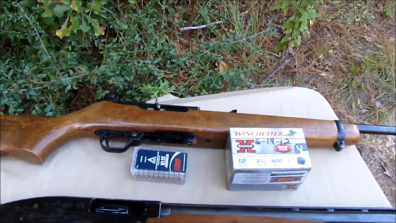 22 long rifle or shotgun for SHTF - YouTube
