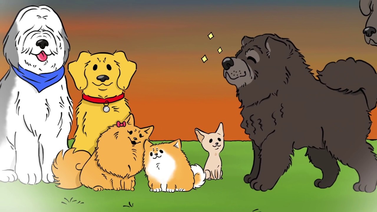 Balou to the Rescue by Balou the Bear Dog - YouTube