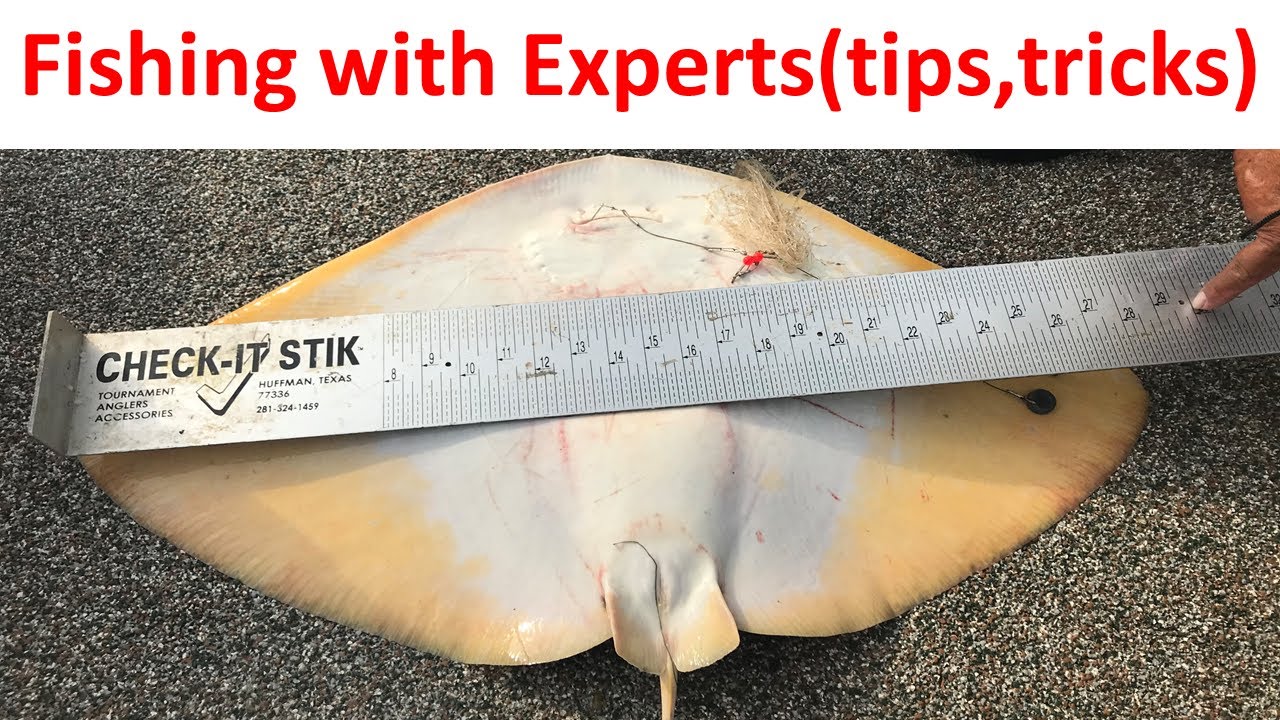 FunAmericanLife 46: Fishing with Experts (tips, tricks) for huge ray ...
